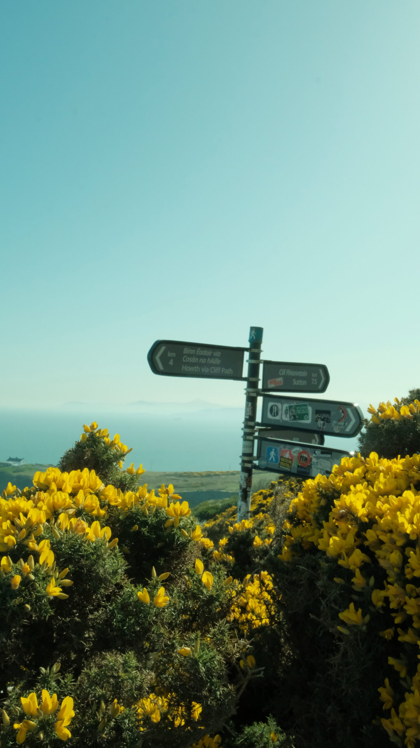 Goodnight Ireland | Mitchell Scholar Blogs