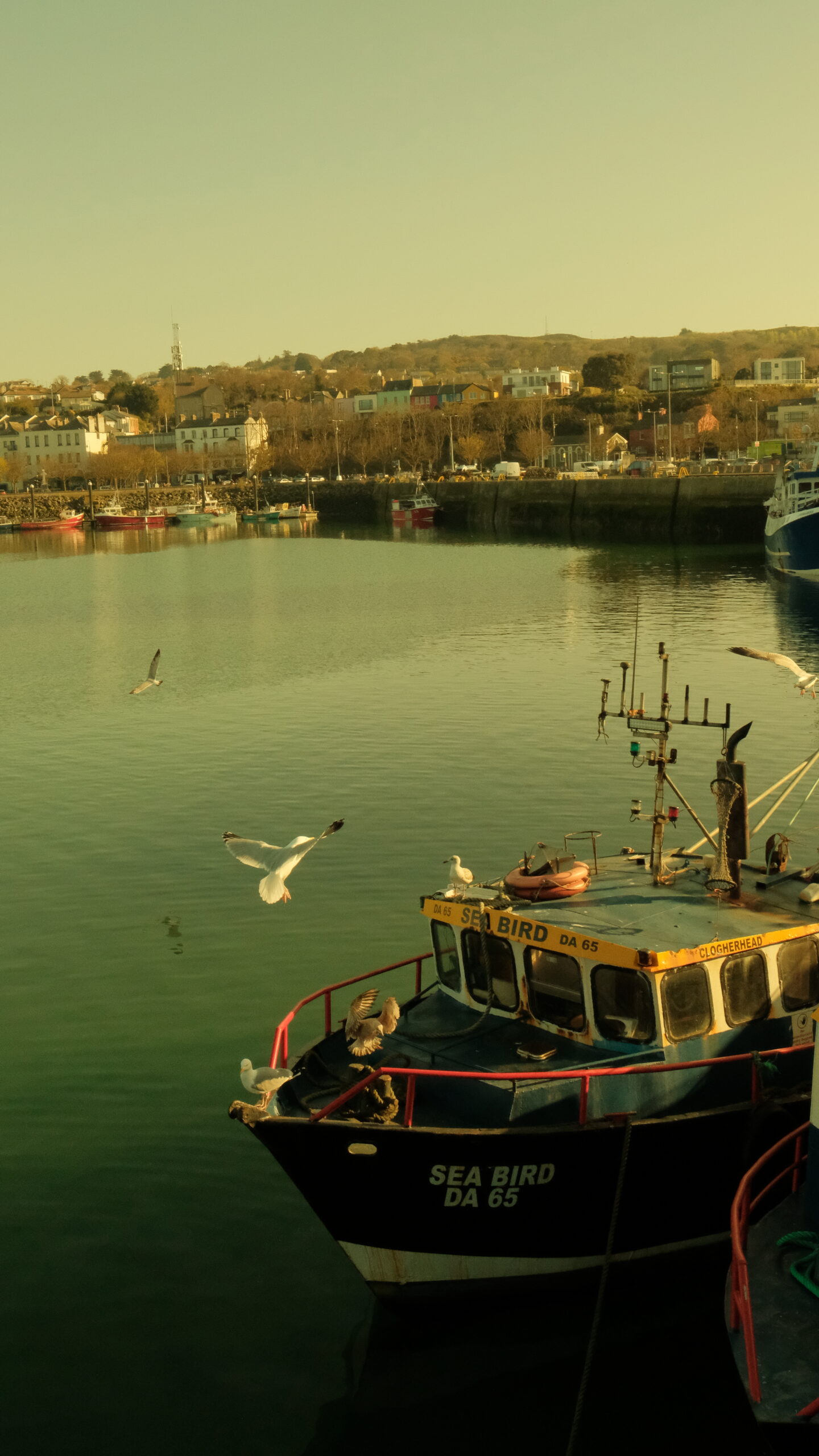 Goodnight Ireland | Mitchell Scholar Blogs